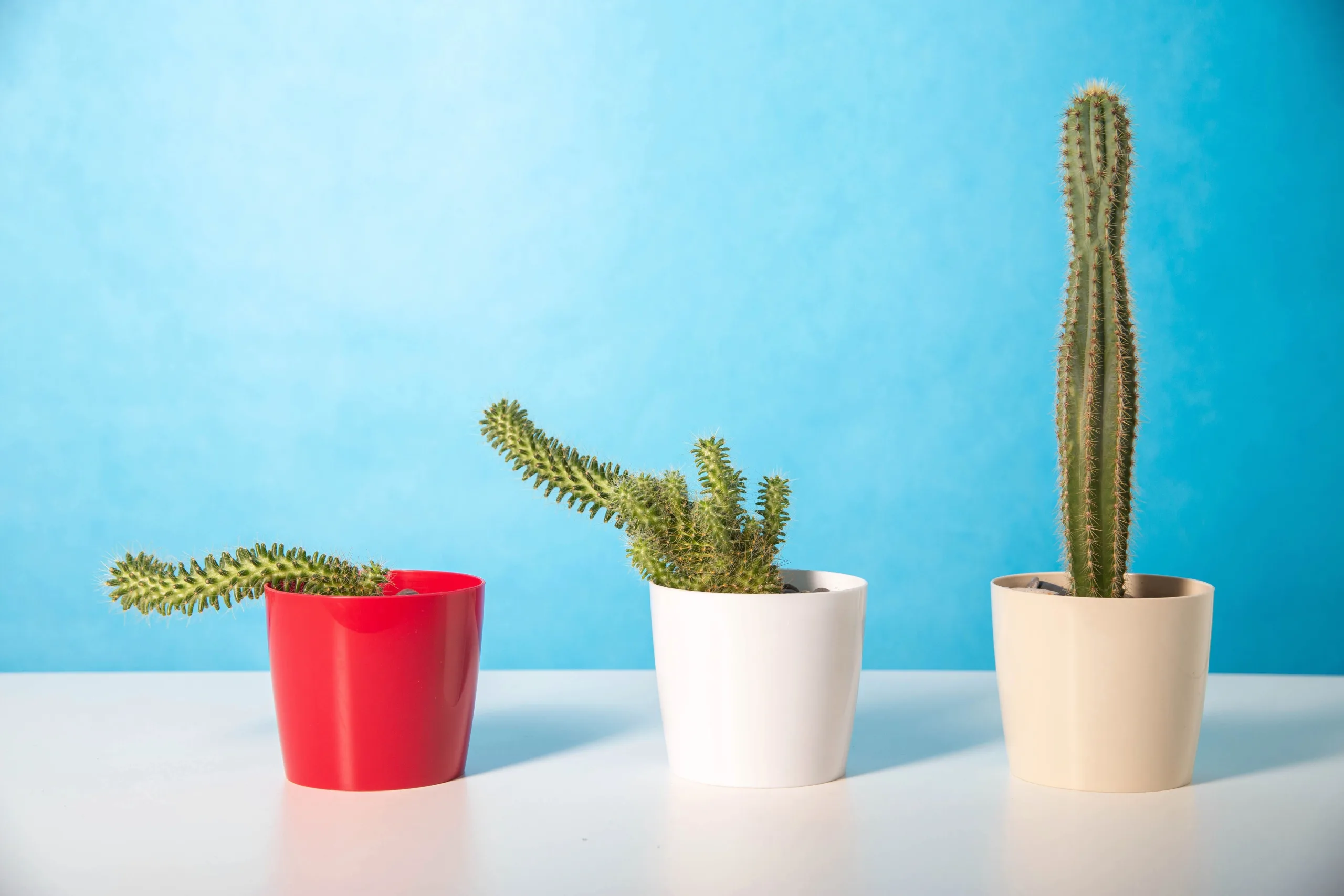 Research Recap: Do Kinky People Have Better Sex? – Bound Together